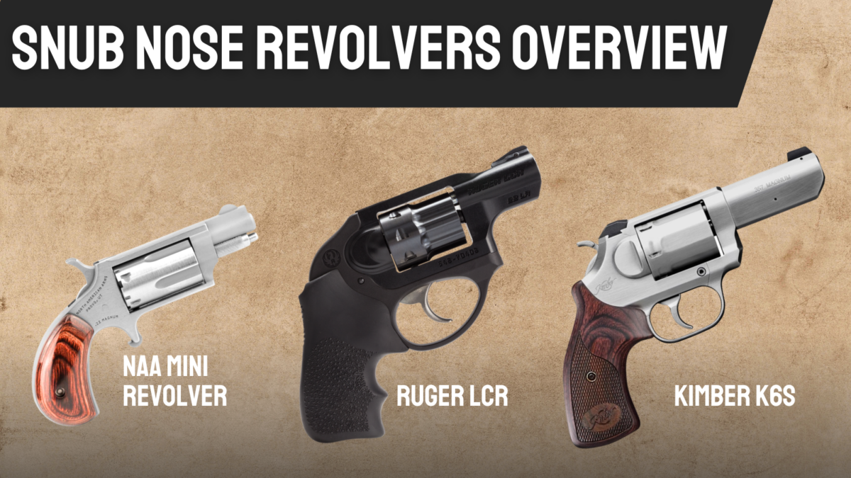 Snub Nose Revolvers Overview: A Great Choice for Defense | GrabAGun